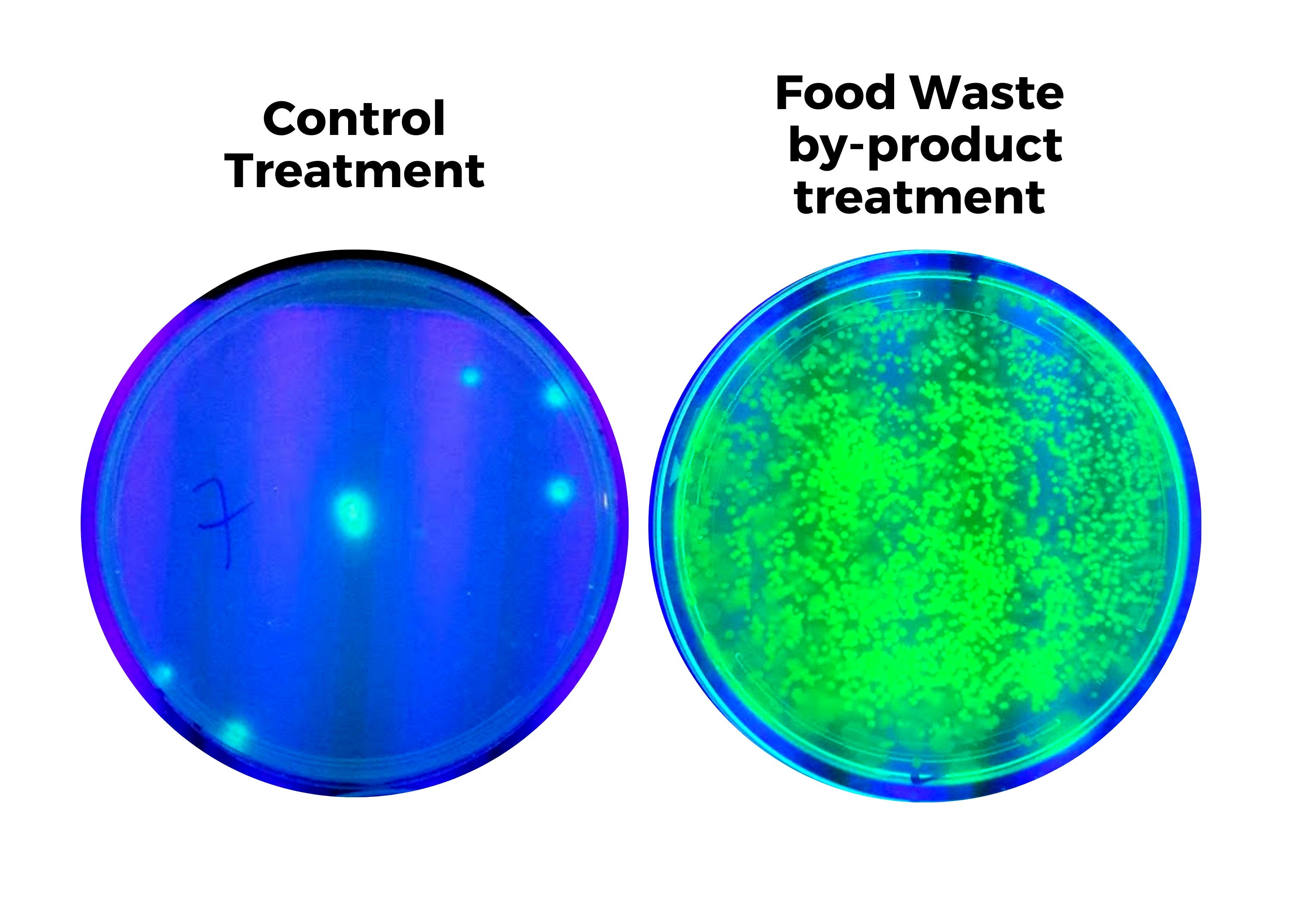 Turning food waste back into food | UCR News | UC Riverside